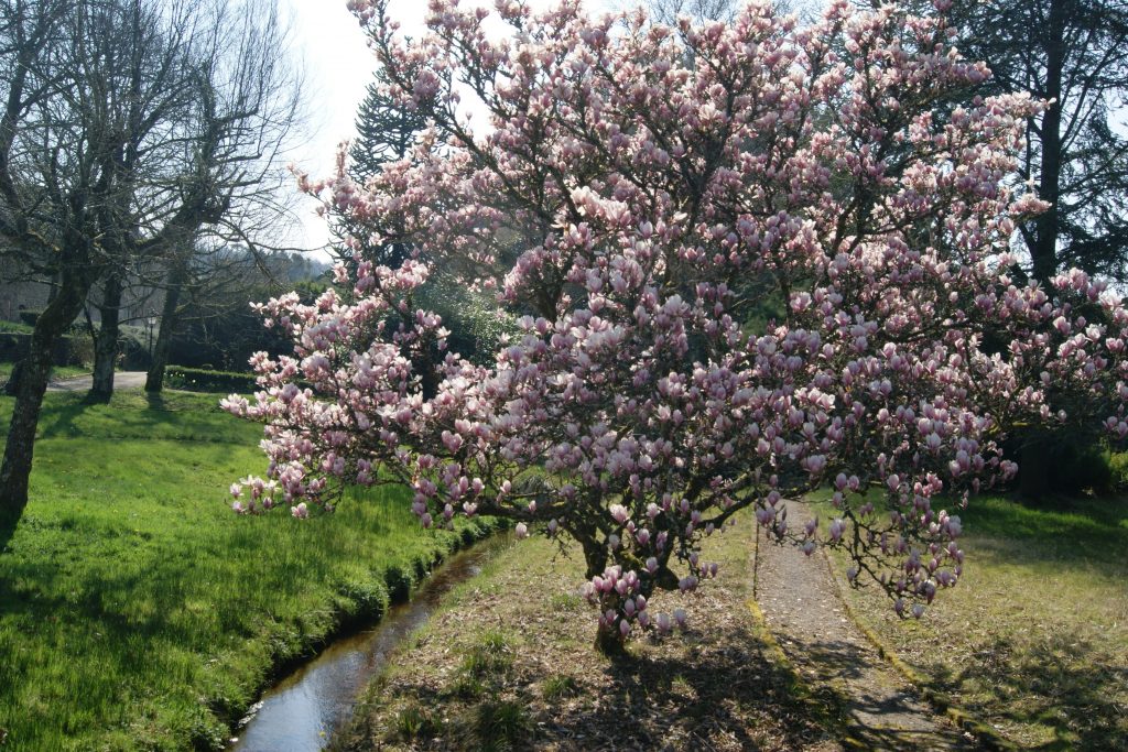 Rencontre avec la Nature - Thierry Le Roch - soins esséniens et bien-être